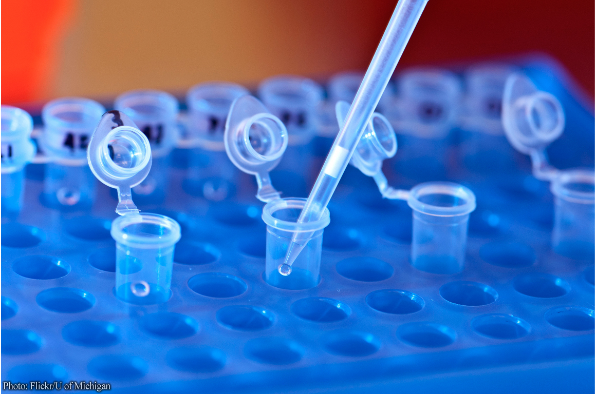 The Police Want Your DNA to Prove You're Innocent. Do You Give it to ...