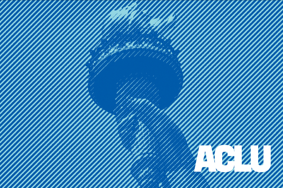 What You Need to Know About ACLU Artist Ambassadors, Including Amber ...