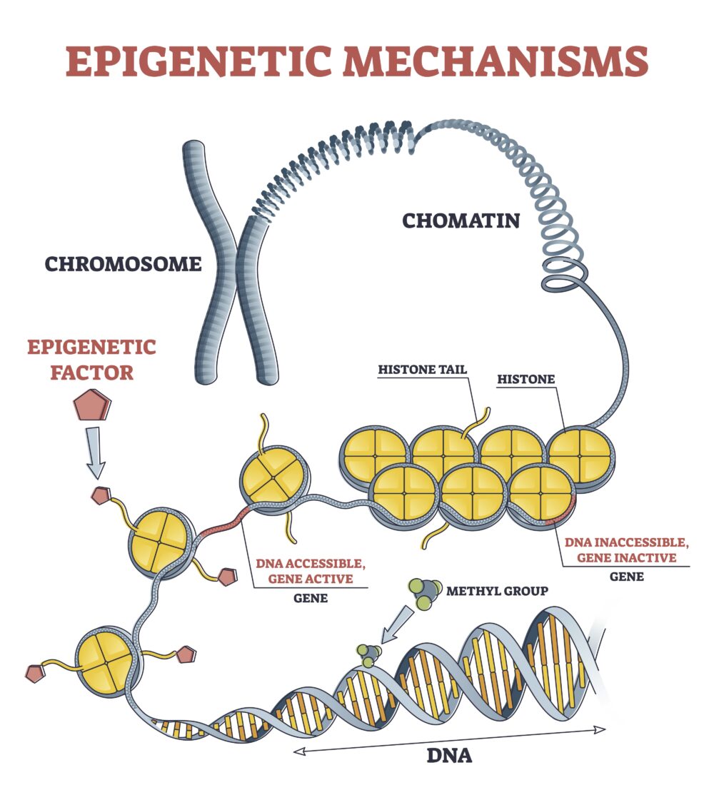 It’s Time for Congress to Update Our Genetic Nondiscrimination Law ...