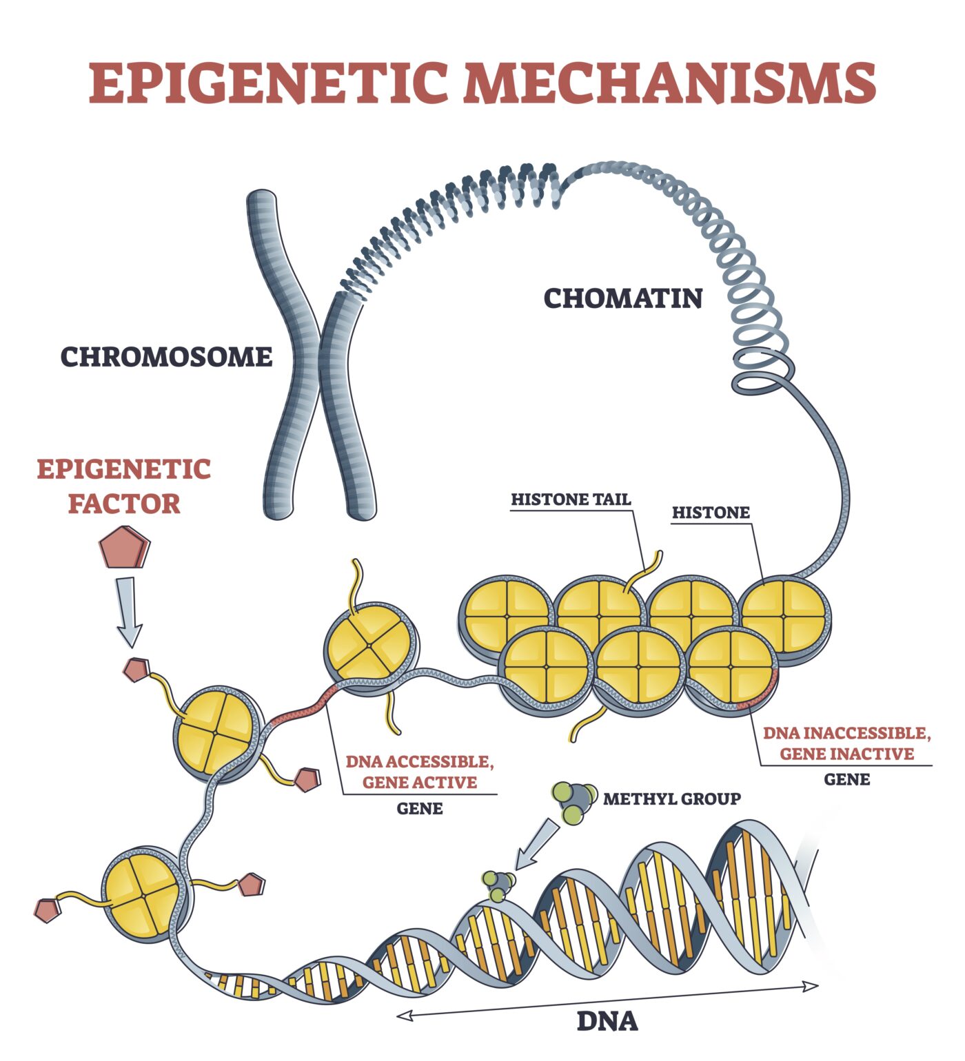 It’s Time for Congress to Update Our Genetic Nondiscrimination Law ...